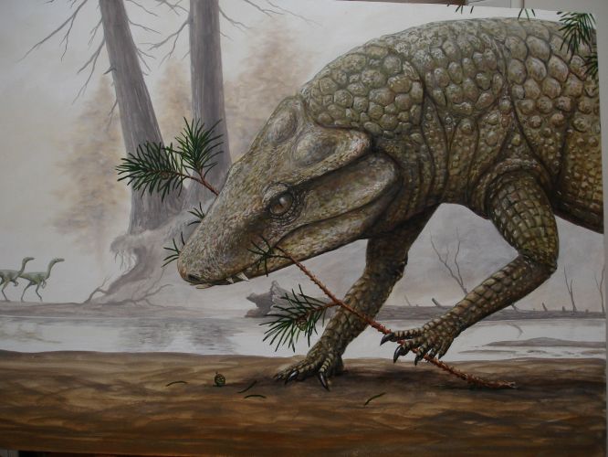 'Crocodilo-tatu' viveu em SP há 90 milhões de anos - Fotos - Ciência