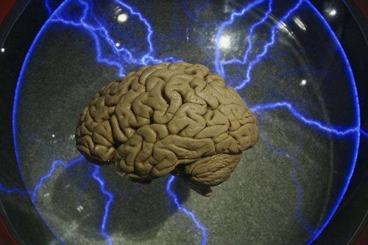 "Cérebro - O mundo dentro da sua cabeça" - Fotos - Ciência