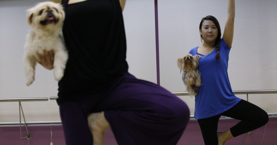 Dog Yoga é yoga para cães e seus donos em Hong Kong - Fotos - Ciência