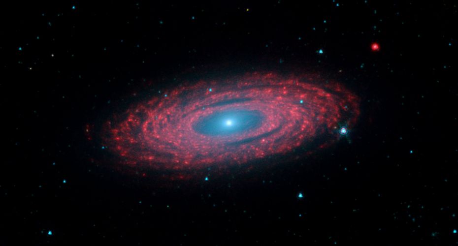 Imagens do mês - maio/2009 - Fotos - Ciência